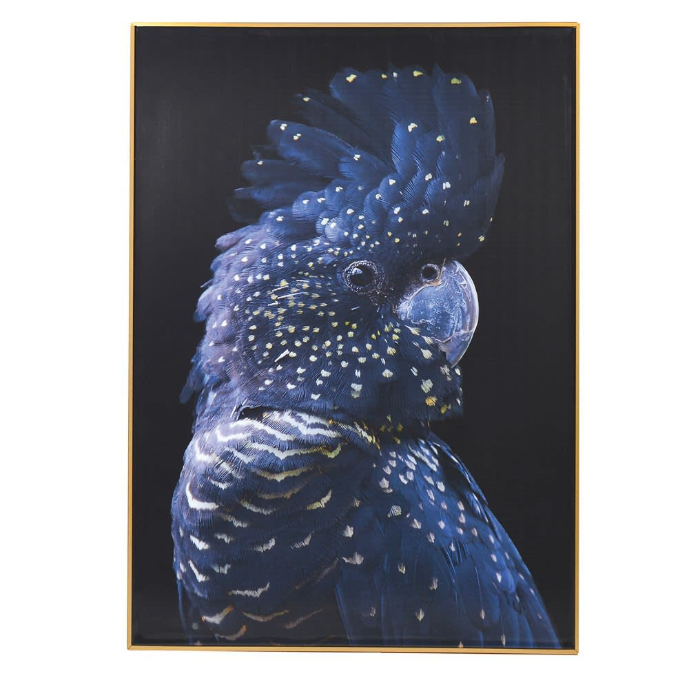 Right Facing Parrot Picture